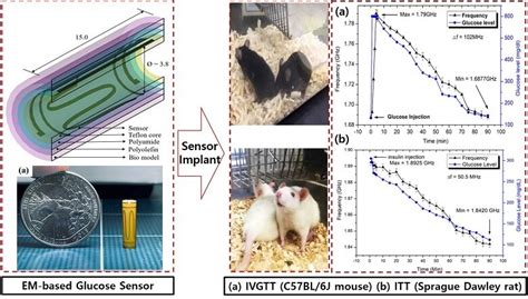 Minimally Invasive Implant Type Electromagnetic Biosensor For