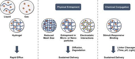 The Use Of Liquids Gases And Hydrogels Results In Rapid Download Scientific Diagram