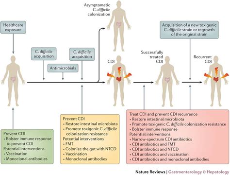 Antibiotic That Can Cause C Diff C Difficile Infection Symptoms And Causes