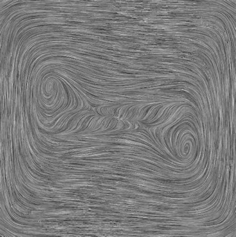 12 line integral convolution visualization of a 2d horizontal slice