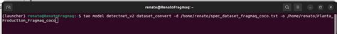 Error Converting Coco Custom Dataset To Detectnetv2 Training Tao