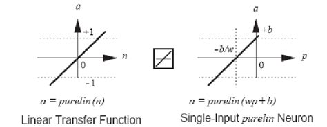 13 linear transfer function adapted from hagan et al 1996