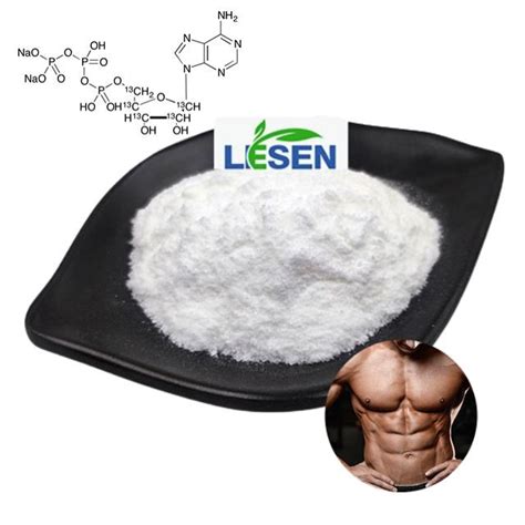 China Good Price Adenosine 5 Triphosphate Disodium Salt Manufacturers