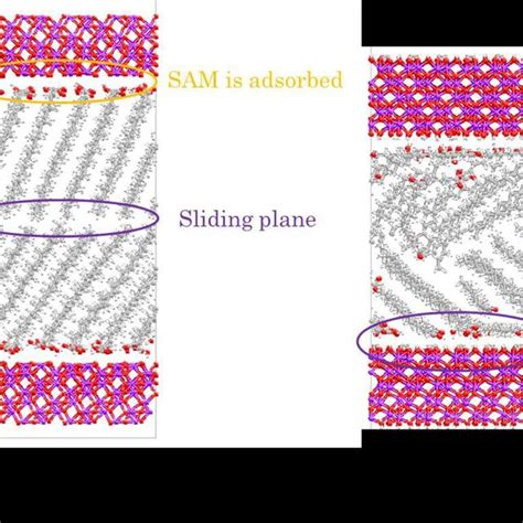 Stearic Acid Self Assembled Monolayer Organisation On Iron Oxide