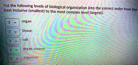 SOLVED Put The Following Levels Of Biological Organization Into The