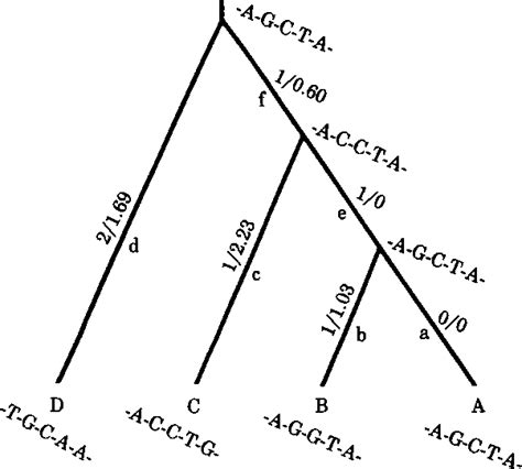 Figure 1 From Simple Method For Constructing Phylogenetic Trees From