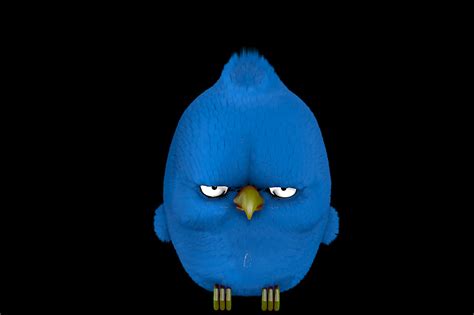 Ugly Bird Cg Cookie