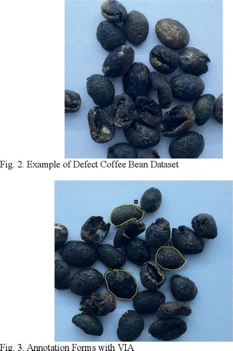 classification of coffee beans defect using mask region based