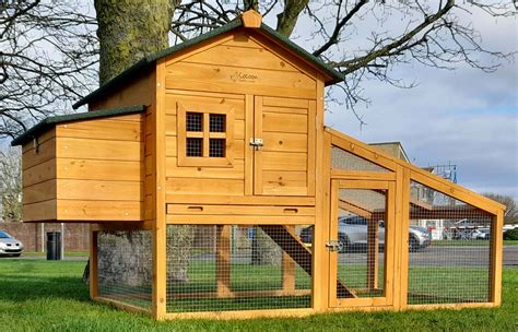 Xl Treetop Cottage Chicken Coop Coops And Hutches Uk