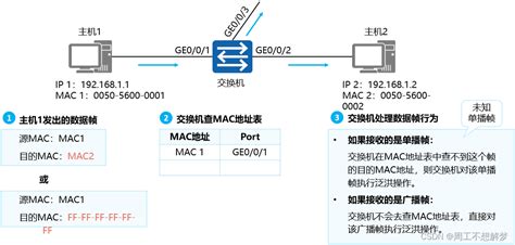 交换机入门小知识2（mac地址、交换机如何处理数据帧）交换机如何处理广播帧 Csdn博客