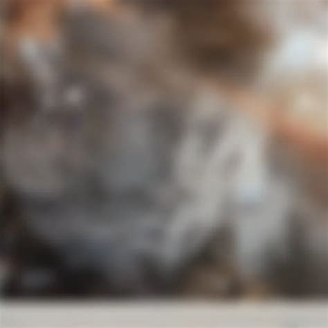 Understanding The Superose 12 Column A Comprehensive Analysis