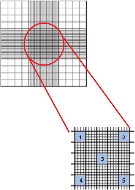 Counting Cells Using A Hemocytometercontext 52 Off