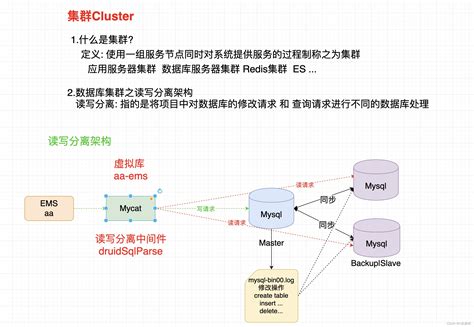 MySQL安装使用详解 Centos环境 mysql linux CSDN博客