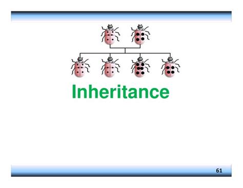 03 Inheretance Java Code Programming Pdf