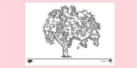 Apple Tree Colouring Sheet Colouring Sheets Teacher Made