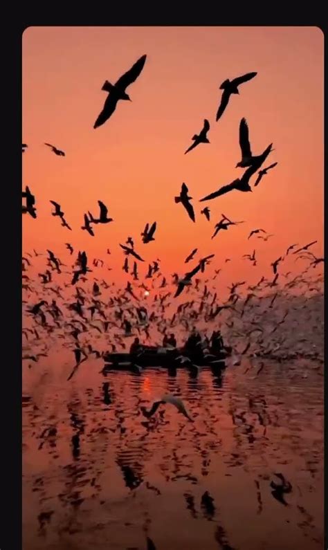 夜雨婆娑，月影若梦。雨丝轻落，夜色温柔。月亮藏在云中，如羞涩的守望者。雨点似琴弦，奏响夜晚的柔情旋律。夜雨交加，月光跳跃，构成一幅梦幻的夜景，恍若仙境。 Youtube