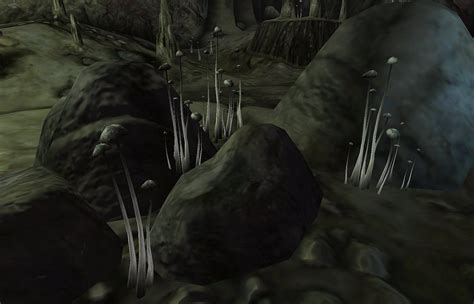 Wisp Stalk Caps Elder Scrolls Fandom