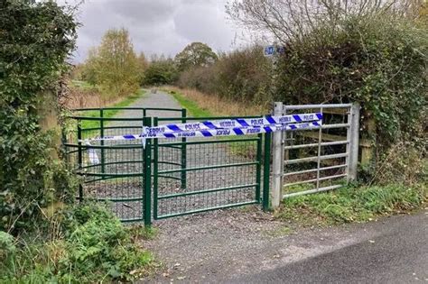 Sex Offender And Poppy Memorial Vandals Gruesome Death Hull News