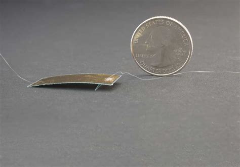 Watch This ‘cockroach Robot Cannot Be Squashed Verdict