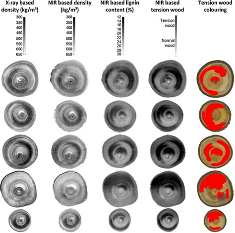 Density Mapping Based On X Ray Imaging Density Mapping Lignin Content Download Scientific