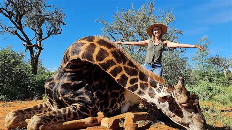 Trophy Hunter Poses With Valentines T The Heart Of Giraffe She