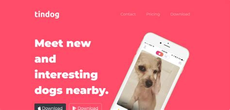 Make Attractive Website Using Html Css Js Bootstrap By