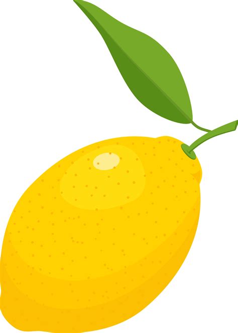 Fresh Lemon Slices 38963677 Png