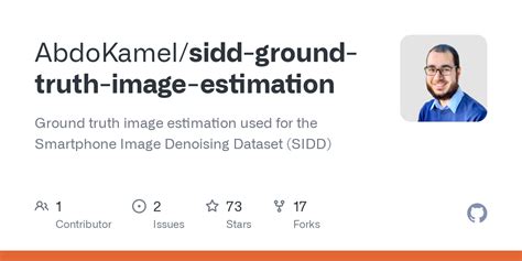 Github Abdokamelsidd Ground Truth Image Estimation Ground Truth