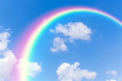 「虹」とはどんな現象なのか？彩雲などそのほかの光の現象も解説！ 暮らし オリーブオイルをひとまわし