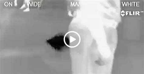 Viral Video What Your Fart Looks Like On An Infrared Airport Security