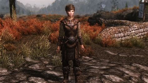 Skyrim Mods Replacer