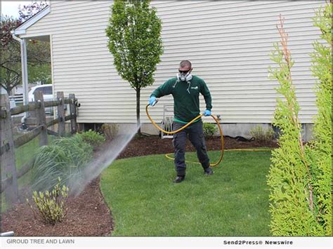 Tick Hot Spots In The Yard Giroud Tree And Lawn Explains Where Ticks