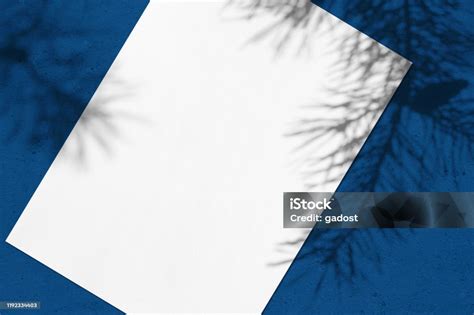 소나무 분기 그림자와 빈 흰색 수직 직사각형 포스터 모형 0명에 대한 스톡 사진 및 기타 이미지 0명 12월 2020년 Istock