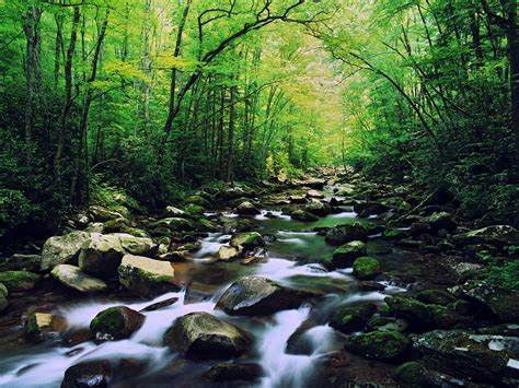 Naturaleza