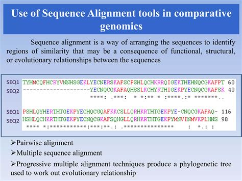 Comparative Genomics Pptx