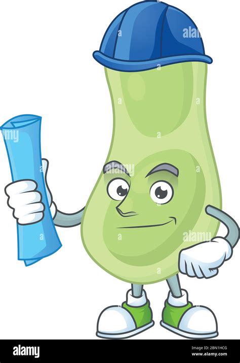 Talented Architect Staphylococcus Pneumoniae Cartoon Design Style Having Blue Prints Stock