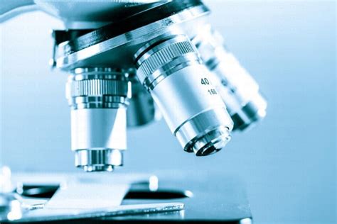 Tendon Xanthomata Xanthelasma