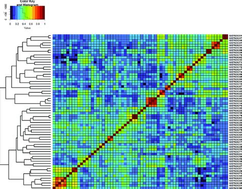 Genomic Relationship Matrix Scaled Between 0 And 1 And Clustering Of