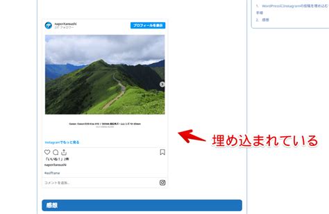 WordPressInstagramの埋め込みができない時の対処法コードを使う ナポリタン寿司のPC日記