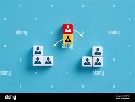 Appointment Or Assignment Of Team Leaders Human Resource And