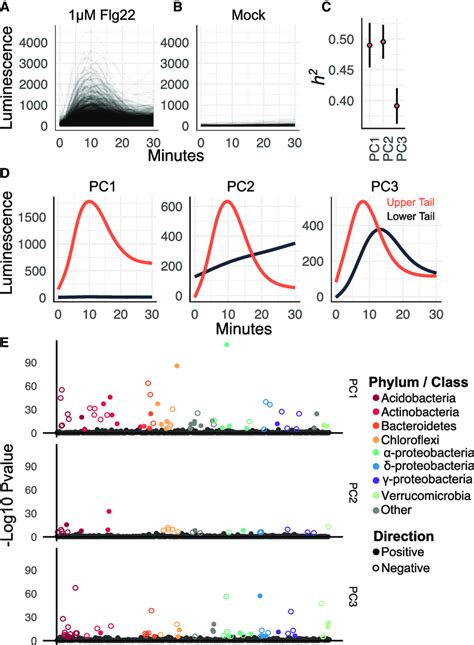 asv abundances co vary with pattern triggered immune responses a