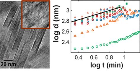溶液化学和颗粒各向异性对定向聚集体集体动力学的影响 Acs Nano X Mol