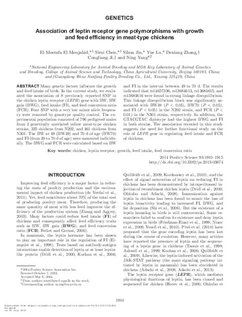 Pdf Association Of Leptin Receptor Gene Polymorphisms With Growth And Feed Efficiency In Meat
