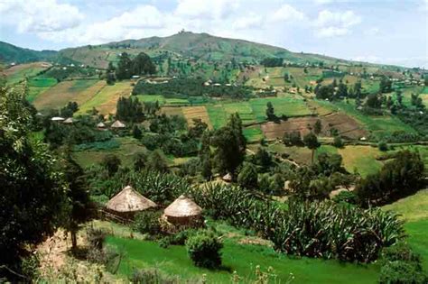 ጥር 2፣2016 የመሬት አስተደር ችግር ባለመፈታቱ የመልካም አስተዳደር መንስኤ ሆኖዋል ሲል የከተማ እና