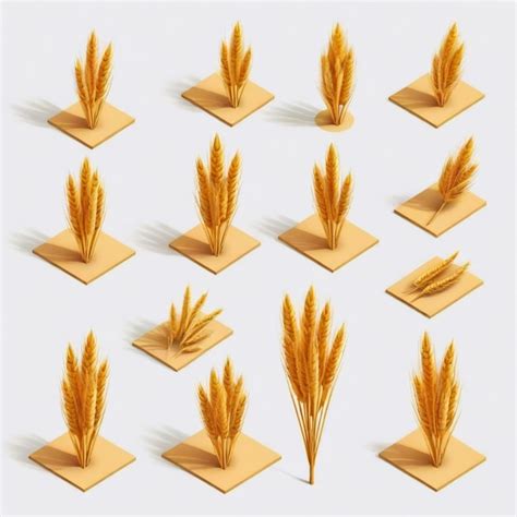 Wheat Endosperm Vectors And Illustrations For Free Download