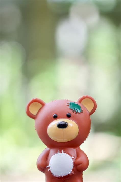 무료 이미지 귀엽다 곰 담홍색 어린 시절 테디 베어 닫다 눈 피부 단맛 봉제 인형 아기 장난감