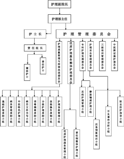医院护理管理组织结构 Word文档在线阅读与下载 无忧文档
