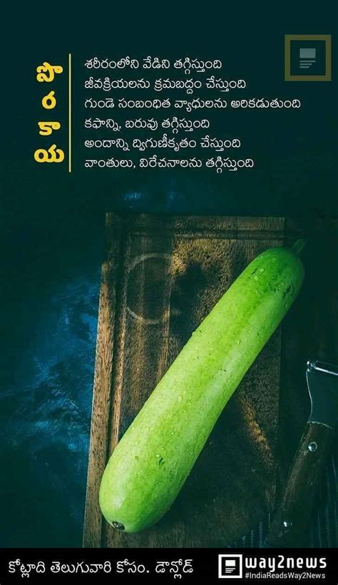 Telugu Web World Benefits Of Bottle Gourd Sorakaya Anapakaya