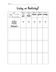This Scientific Chart Allows Students To Organize Data And Demonstrate Understanding Of What