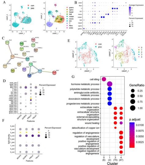Integrated Single Cell And Spatial Transcriptomics Reveals